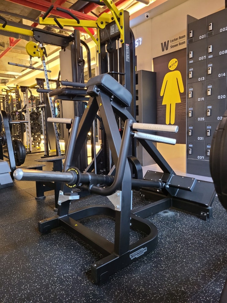 (구월동헬스장) Technogym T-bar row pure 입고되었습니다 : 네이버 블로그