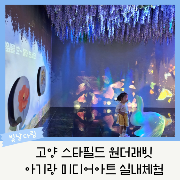 고양 스타필드 원더래빗 매직플로우 입장권 할인 무료입장 네이버 블로그