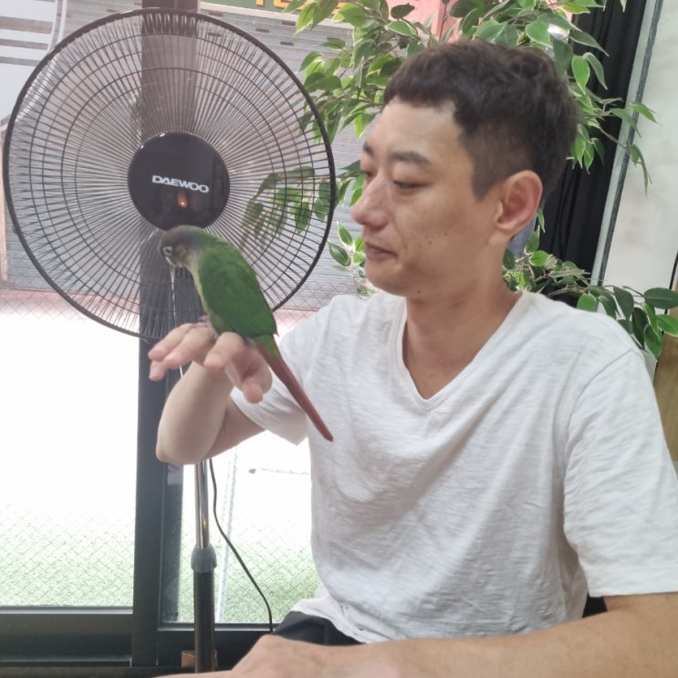 모란까페 봄1979 데이트하기 딱좋은 모임하기도 좋은카페 추천 앵무새하루도있음 : 네이버 블로그