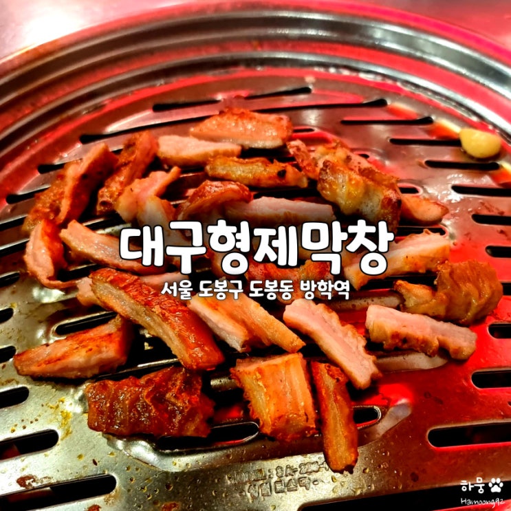 방학역 도봉동 대구막창 맛집 대구형제막창 네이버 블로그