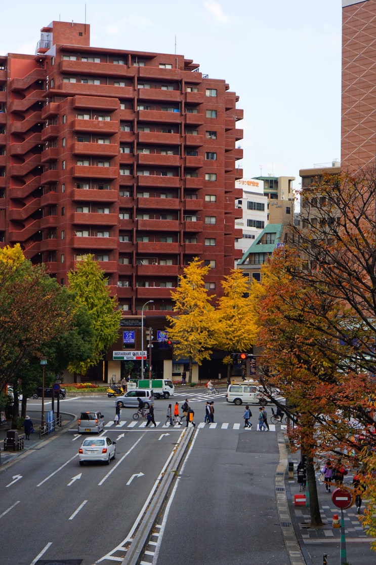 아직 저도 하락장 투자 못했습니다 : 네이버 블로그