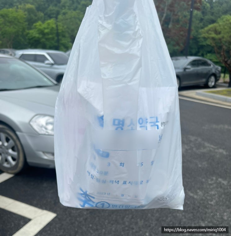 [보령 다이어트 약]이가정의원 평일 오후 재방문 후기 : 네이버 블로그