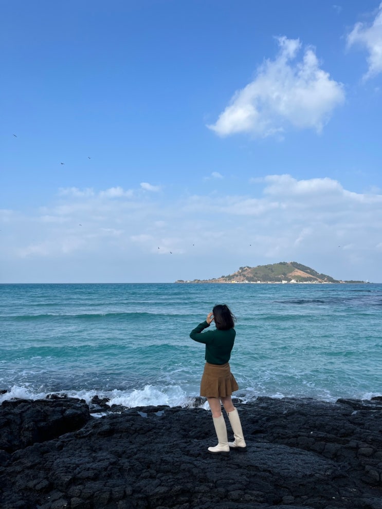제주도 여행가서 먹은 것들이다. : 네이버 블로그