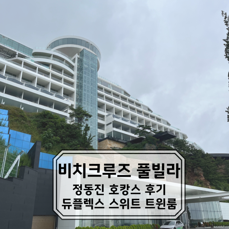 정동진 바다 앞 인피티니풀 여름 호캉스하기 좋은 비치크루즈 풀빌라 듀플렉스 스위트 트윈 내돈내산 후기 네이버 블로그