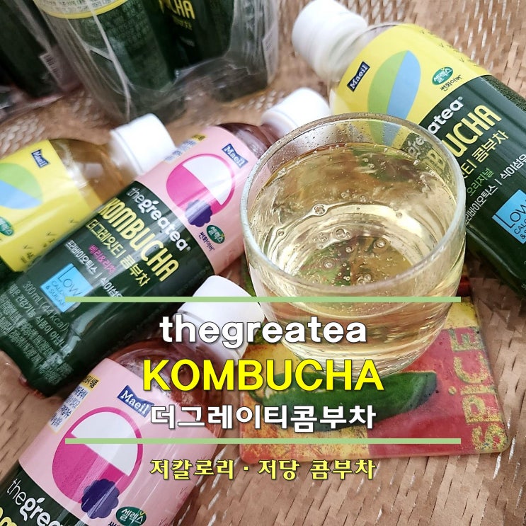 콤부차 효능 궁금해 저칼로리콤부차 더그레잇티콤부차 네이버 블로그