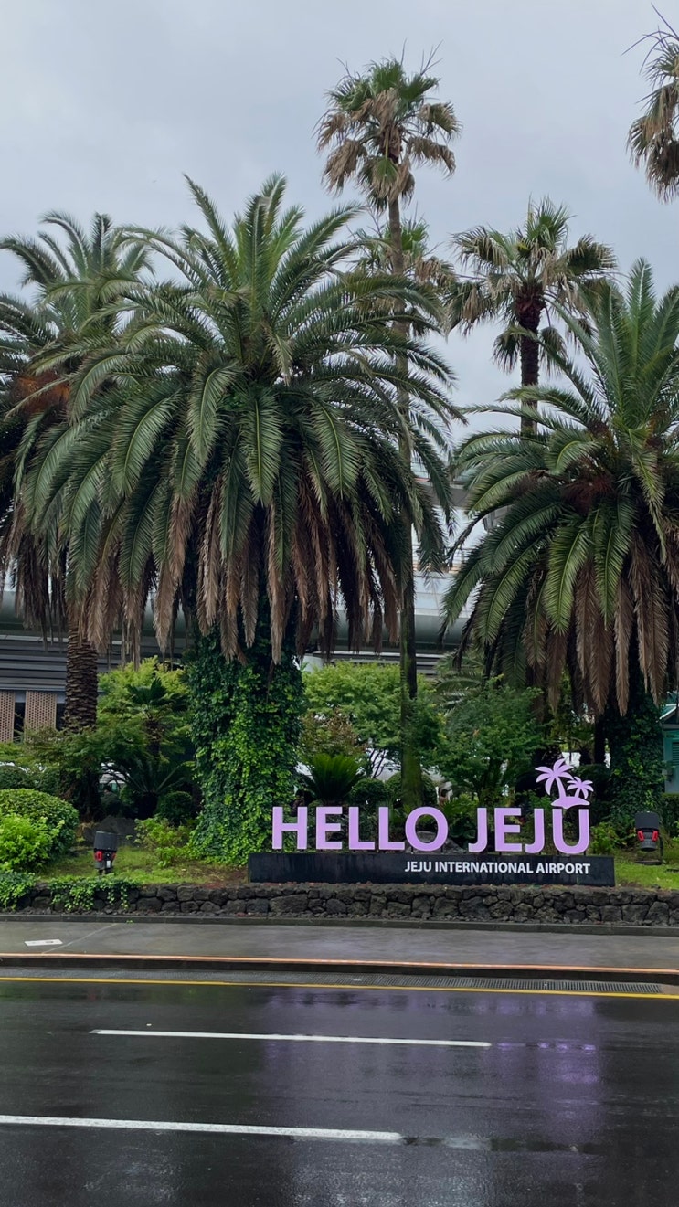 Full of Jeju 🍊🌊 : 네이버 블로그