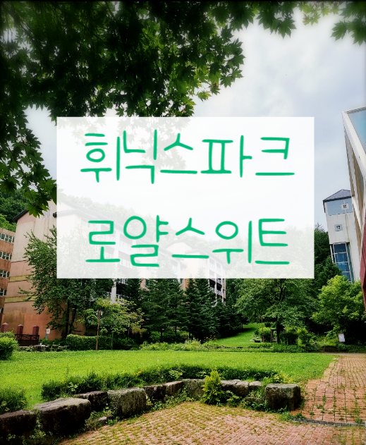 강원도 평창 휘닉스파크 로얄스위트 평창 가성비 숙소 네이버 블로그