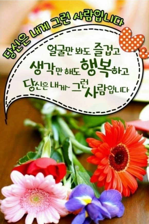 🍁 바 보 : 네이버 블로그