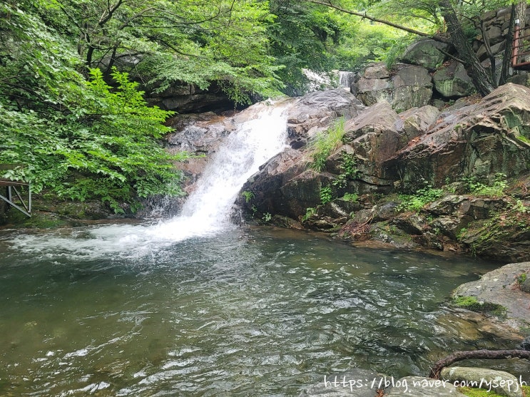 지리산계곡펜션 경남 산청 정수산장 1박2일 우정여행 : 네이버 블로그