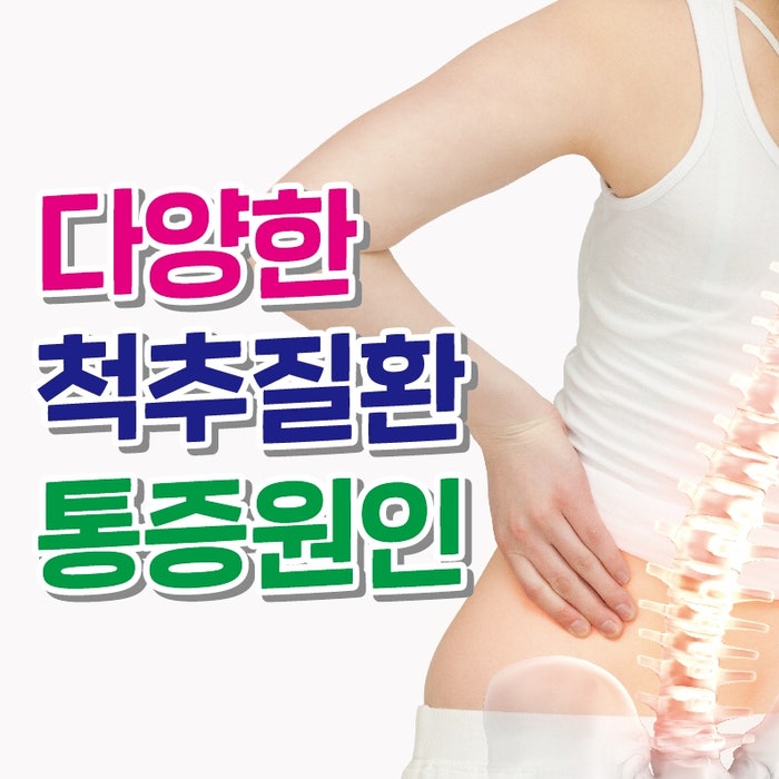 허리통증이 나타나는 원인 정리 척추질환종류정리 광주 화정동 참편한신경외과 네이버 블로그
