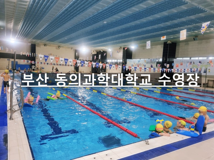 동의과학대학교 수영장ils 수영클럽 강습시간 강습비 주차 셔틀버스 운행 노선 및 시간 어린이 방학 특강 안내 네이버 블로그