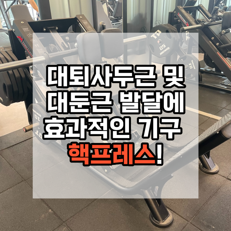 [하남헬스/미사헬스/미사pt/하남pt/메가나인피트니스] 대퇴사두근 및 대둔근 발달에 효과적인 기구 핵프레스! : 네이버 블로그
