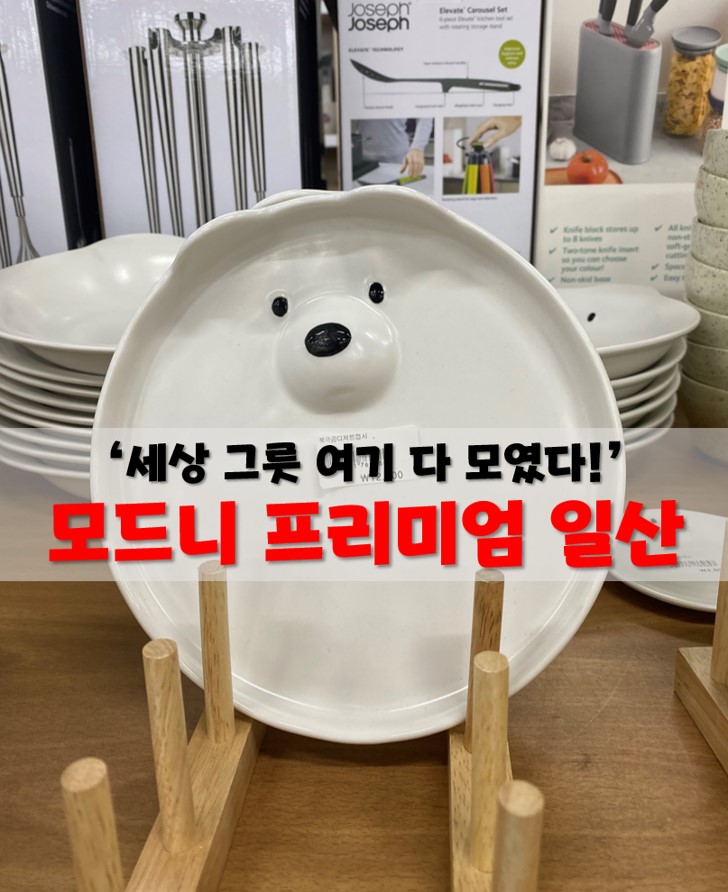 모드니 프리미엄 일산점 세상 그릇 여기 다 모였다 주방용품 아울렛수입 그릇 할인매장수입 브랜드 성지신혼부부 필수