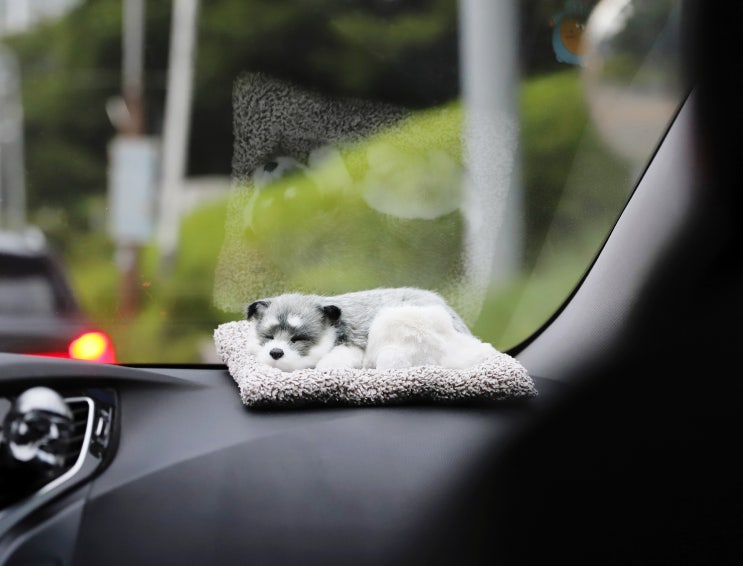 차량용 공기정화 제습 탈취 강아지 인형, 아트박스 품 POOM과 장마 이겨내기 : 네이버 블로그