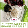 바나바잎영양제모어네이처 콜레스테롤 케어로 혈당 관리 네이버 블로그