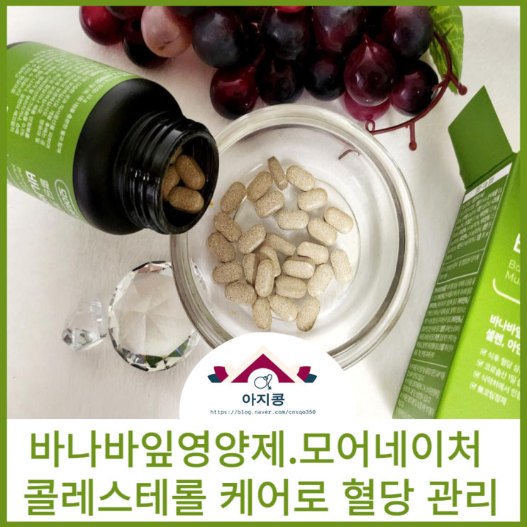 바나바잎영양제모어네이처 콜레스테롤 케어로 혈당 관리 네이버 블로그