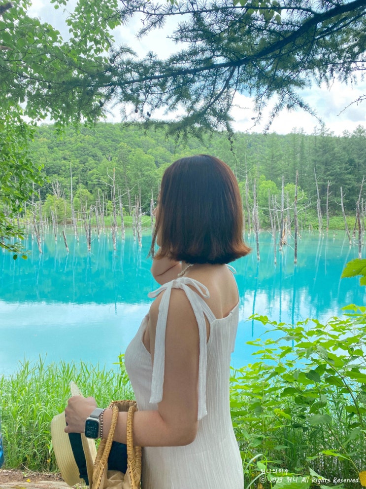 여름 삿포로 여행 후라노 비에이 투어 일일 버스투어 후기 ̗̀ ♥ˎˊ 네이버 블로그