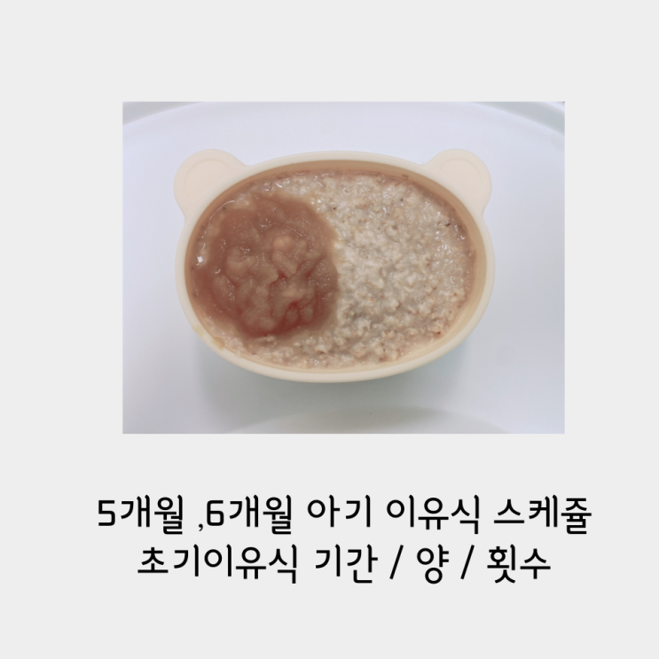 5개월 6개월아기 초기이유식 일지 초기1 초기2 기간 이유식 횟수1회 2회 등 기록시판이유식 기간 횟수 등