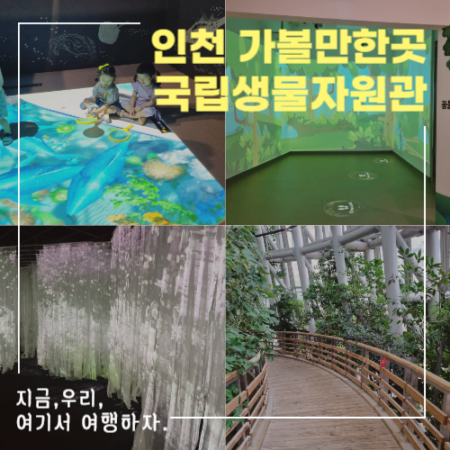 국립생물자원관 인천 서구 실내 가볼만한곳 무료입장 네이버 블로그