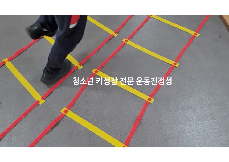 청소년 키성장 트레이닝 키성장운동 효과좋은 키크는법 네이버 블로그