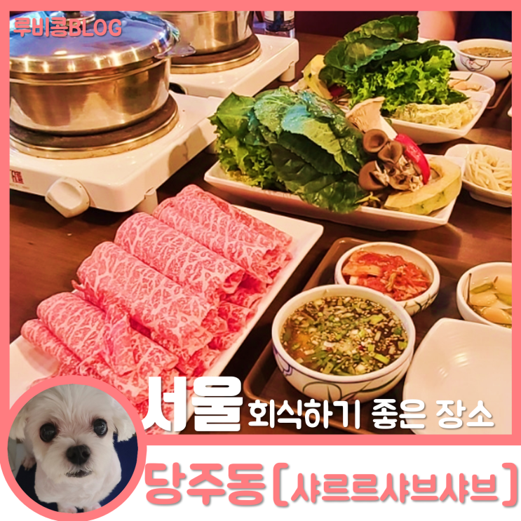 종로 맛집 샤르르 샤브샤브 솔직후기광화문역 한우 샤브샤브 1인 냄비 저녁 회식 장소 점심 추천 네이버 블로그