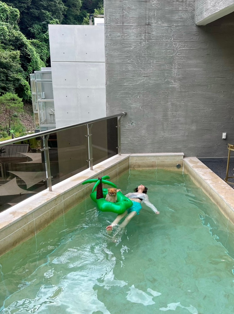포항 그랑모던풀빌라 꽉찬 숲속뷰에 프라이빗한 개별수영장이 있는 경상북도 애견동반 숙소 솔직후기 네이버 블로그