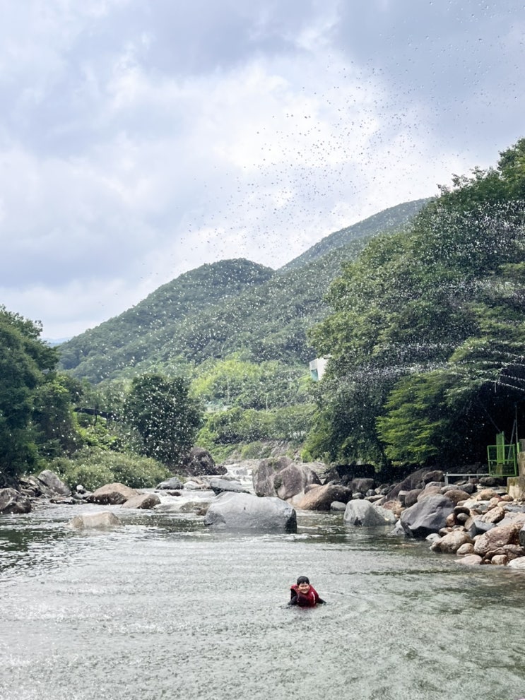 예치마을 부산 근교 평상대여 계곡 다녀왔어요 : 네이버 블로그