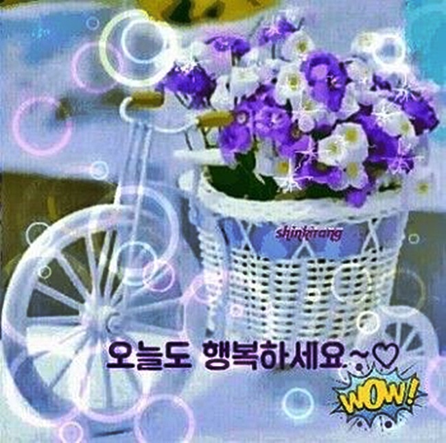 행복을 담는 그릇 : 네이버 블로그