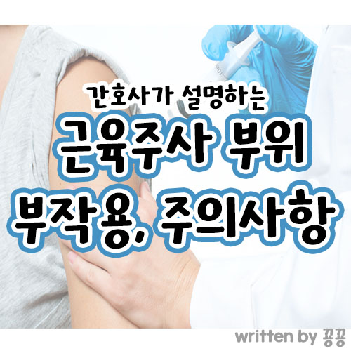 근육주사 부위 부작용 주의사항 방법 Im 알아보기 네이버 블로그