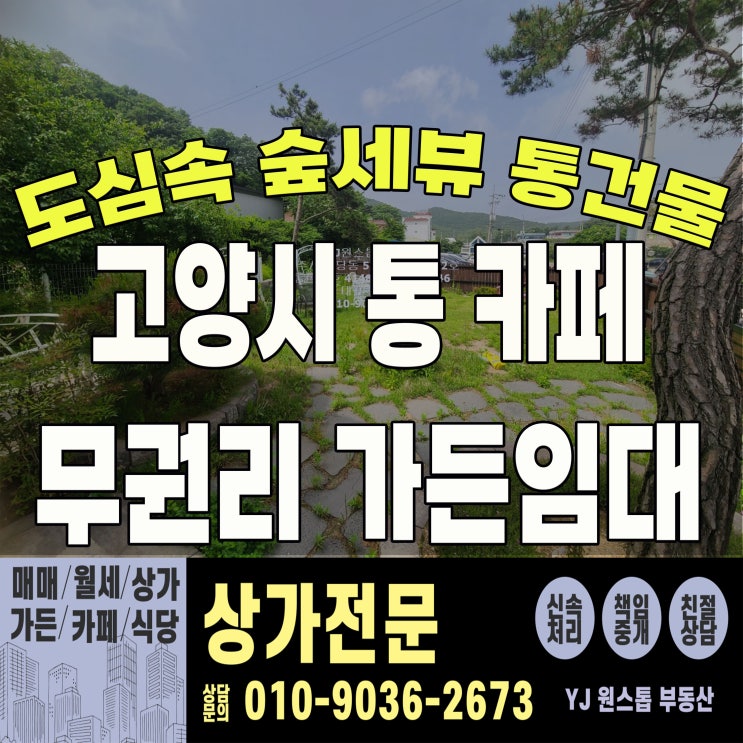 경기도 고양시 가든임대 무권리 카페 마당있는 통건물임대 매물 도심속 숲세뷰 네이버 블로그
