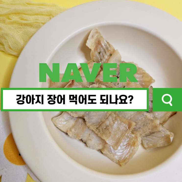 강아지 장어 먹어도 되나요 효능 급여방법 주의사항 마닐마닐 네이버 블로그