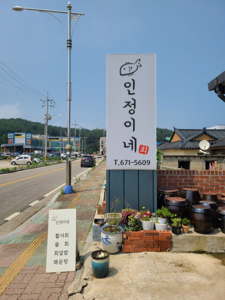 양양 물회 현지 맛집: 인정이네 : 네이버 블로그