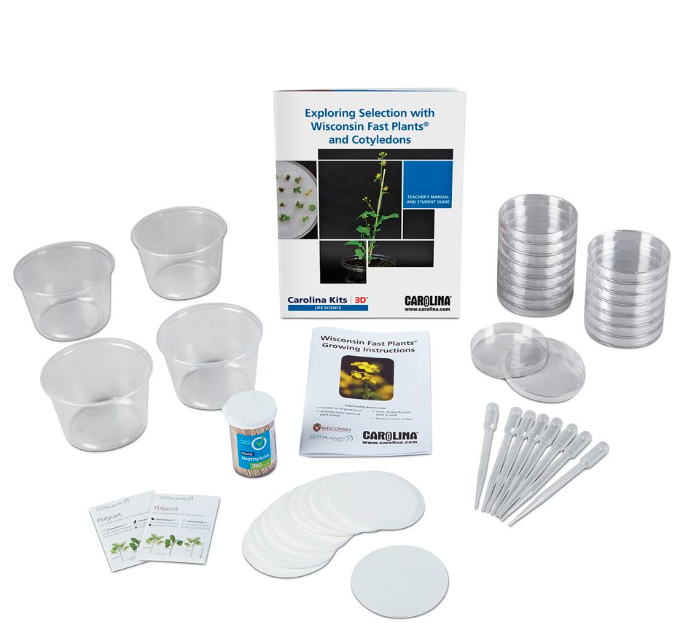 [Carolina Biologicals] Exploring Selection with Wisconsin Fast Plants ...