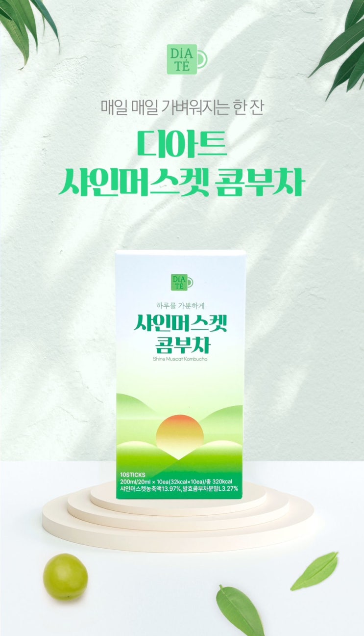 디아트 샤인머스켓 콤부차 와디즈 본펀딩 오픈!! : 네이버 블로그