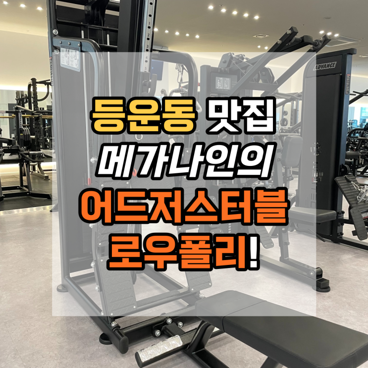 [하남헬스/미사헬스/미사pt/하남pt/메가나인피트니스] 등운동 맛집 메가나인의 어드저스터블 로우 폴리! : 네이버 블로그