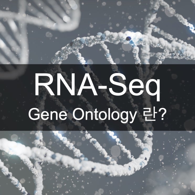 [Bioinformatics / RNA-Seq] Gene Ontology란? 유전자 온톨로지 개념 설명 : 네이버 블로그