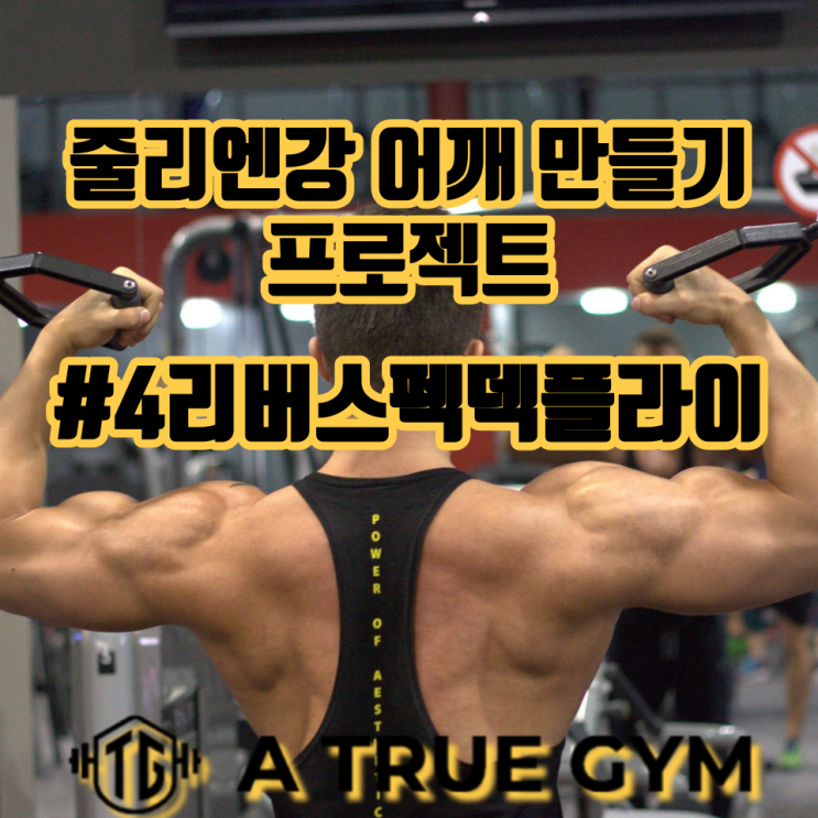 줄리엔강 어깨 만들기 프로젝트 4리버스펙덱플라이 문정헬스 문정피티 어깨운동 네이버 블로그