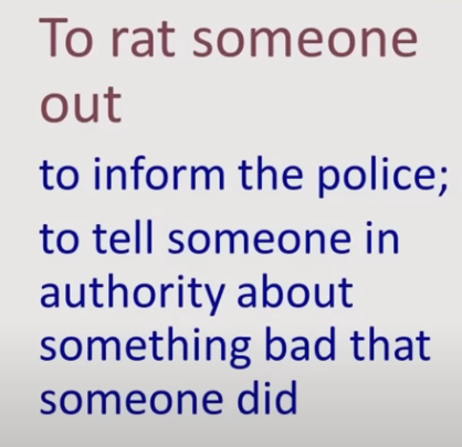 [짤막한 영어 단어 공부] to rat someone out - 밀고하다 : 네이버 블로그