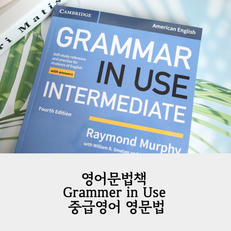 영어문법 책 Grammer In Use 중급영어 영문법 네이버 블로그