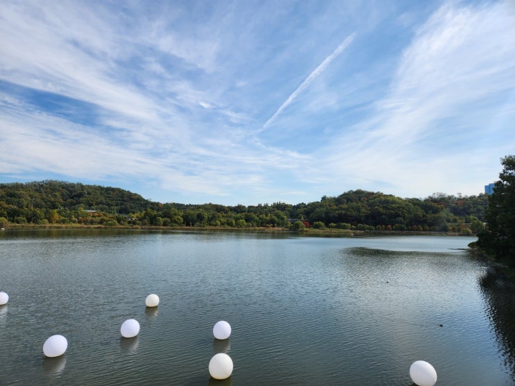 토지인도 / 소유권 (수원 / 부동산 / 변호사) : 네이버 블로그