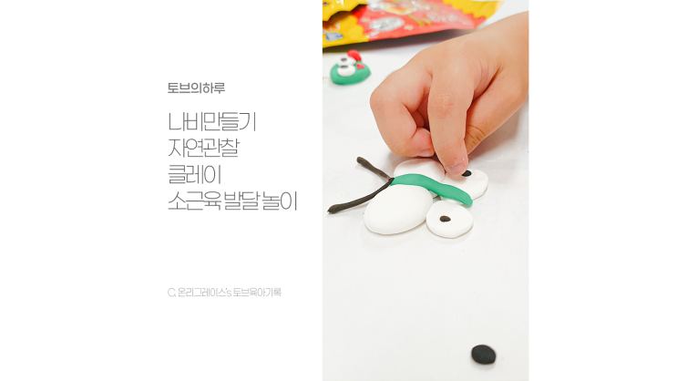나비만들기 자연관찰 아이 클레이 소근육 발달 놀이 네이버 블로그