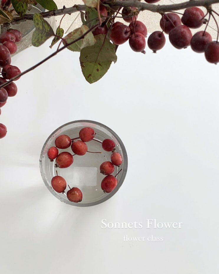 [Sonnets] Flower Class : 네이버 블로그