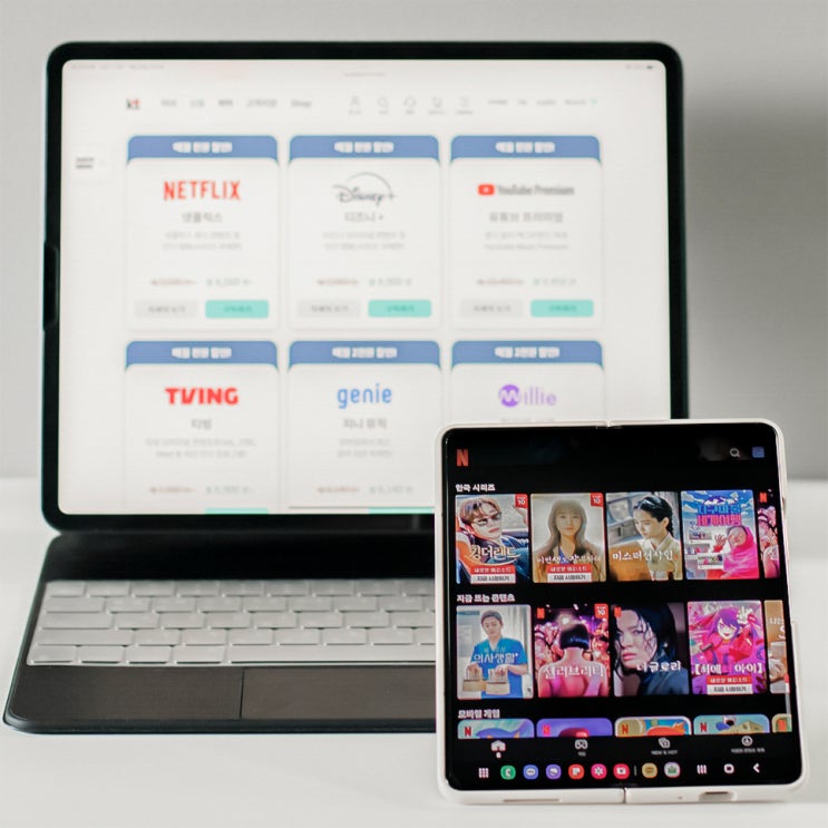 KT OTT 구독 서비스로 넷플릭스 블라이스셀렉트 요금제 중복할인 받기 : 네이버 블로그