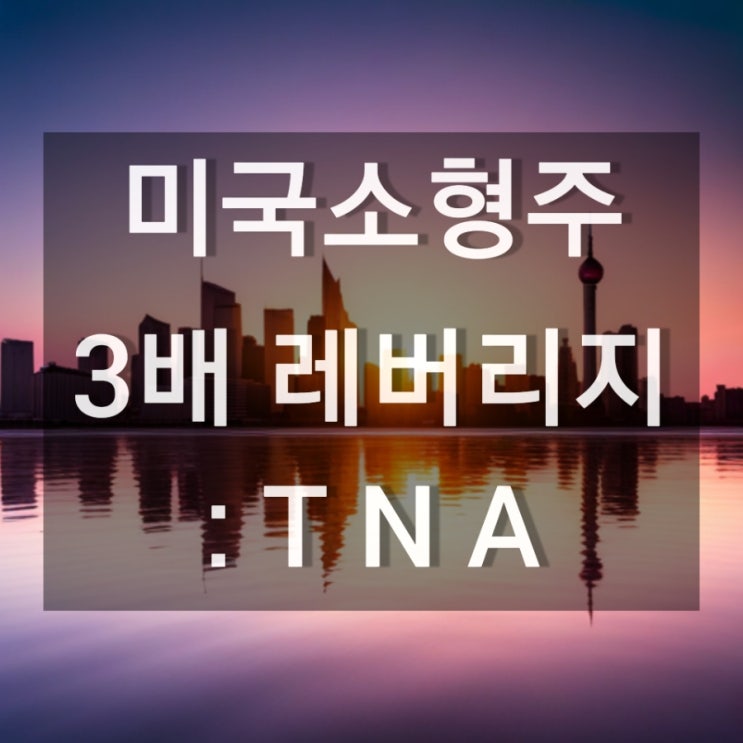 소형주 3배 레버리지 ETF : TNA 전망과 분석 : 네이버 블로그