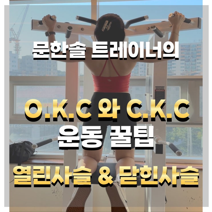 [목감헬스장/pt] 열린사슬(OKC) VS 닫힌사슬(CKC) : 네이버 블로그