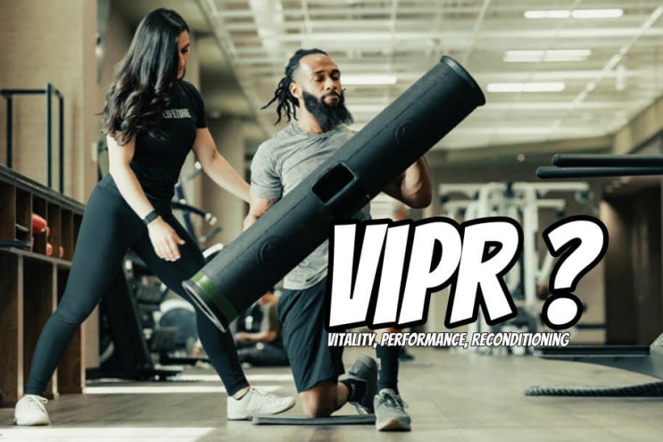 바이퍼 운동(VIPR): 기능 및 전신 훈련의 4가지 원칙 (강릉헬스장/강릉PT/새로워짐) : 네이버 블로그
