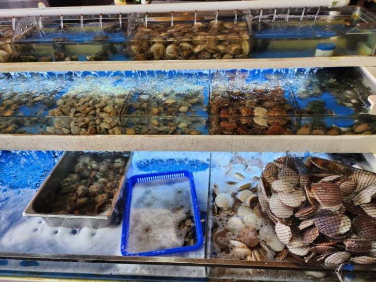 부산 명지 조개부터 고기까지 무한리필 조개 창고 고무 바지 필수 네이버 블로그