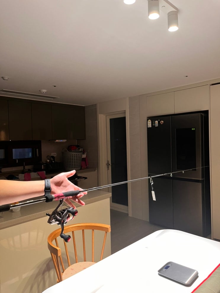 CODEBLUE74 예거84M 영입 (에깅낚시대/무늬오징어낚시/에깅대추천/jaeger84M) : 네이버 블로그