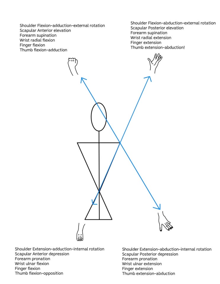 [교육 후기] PNF | Arm & Leg patterns | Basic & level 1,2 교육 내용 요약 : 네이버 블로그
