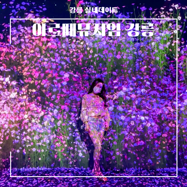 강릉 실내 데이트 가볼만한곳 강릉 아르떼뮤지엄 할인 예약 가격 주차장 총정리 네이버 블로그